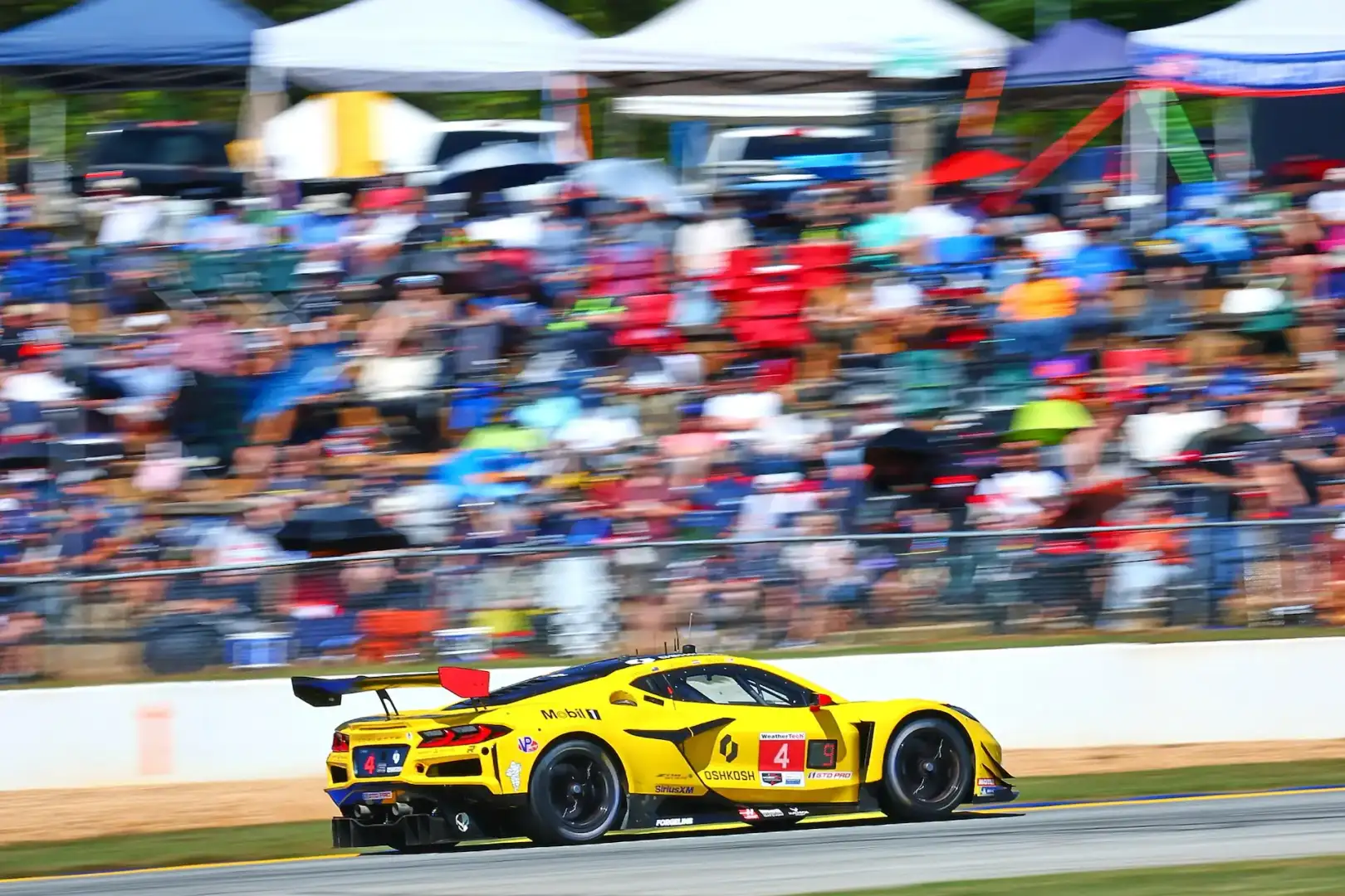 Championship Season - Corvette Dominates 2025 IMSA GTD PRO