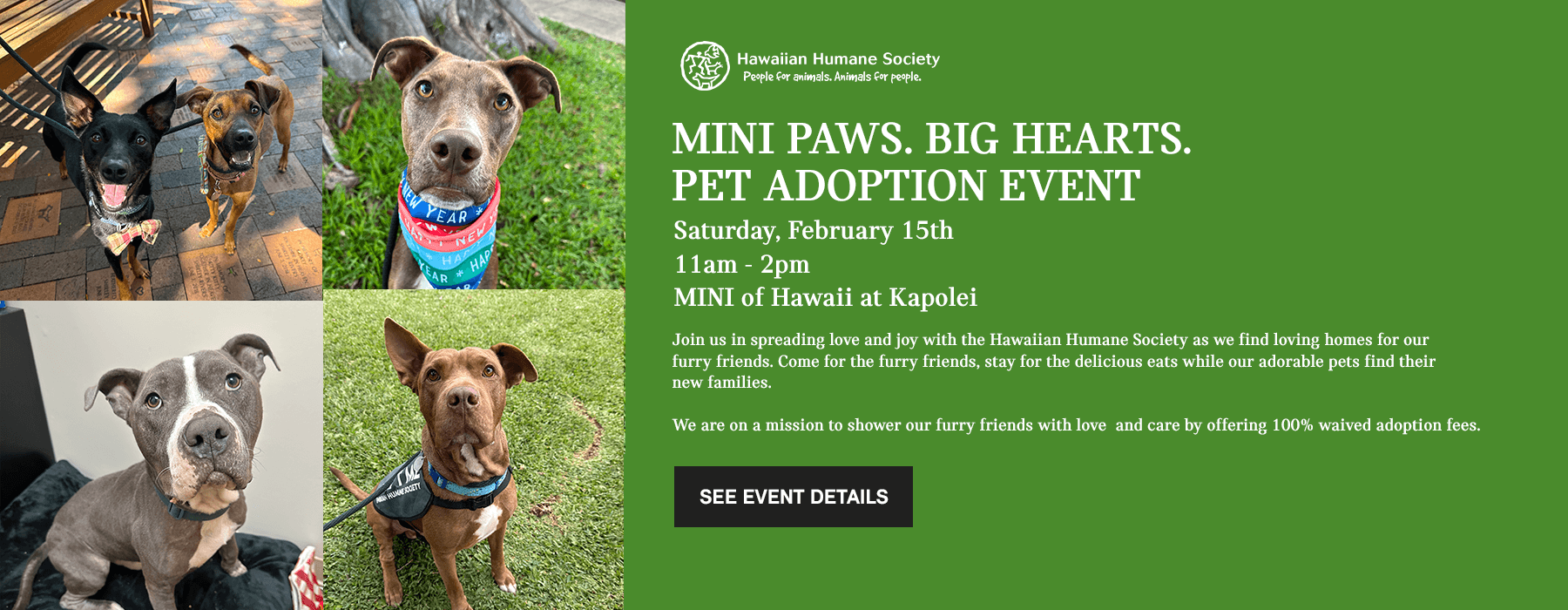 MINI of Hawaii | Official Site