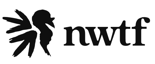 Nucar Cares | Nucar Mazda of New Castle