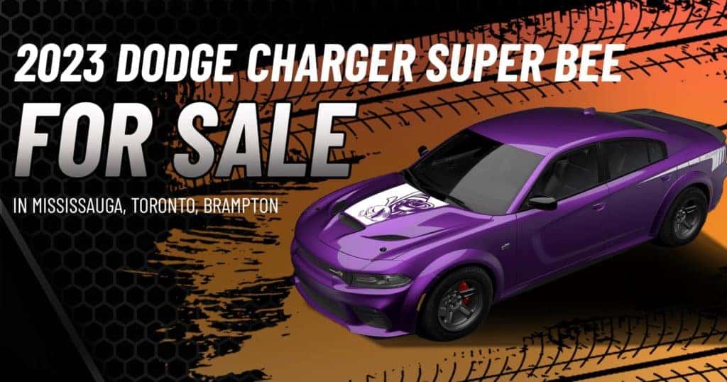 2023 Dodge Charger Super Bee for sale in Toronto, Mississauga, Brampton ...