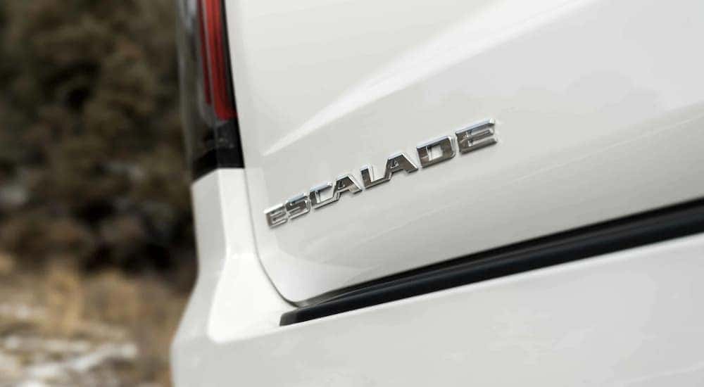 The 2022 Escalade: The Definition of Luxury | Minot, ND SUV Sales